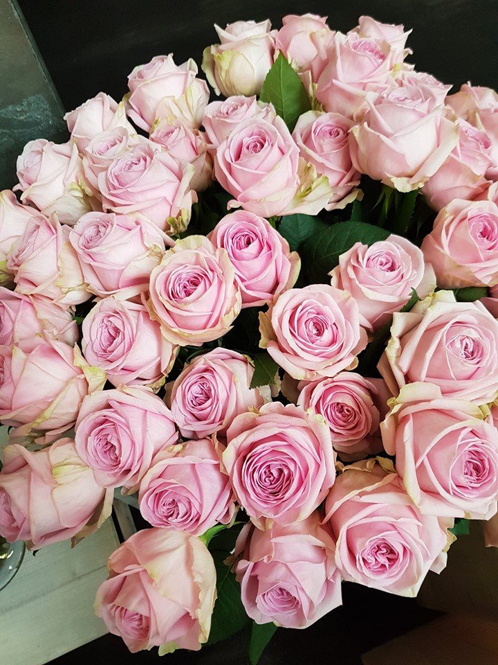 Top 10 Sure Quality Check For Roses Every Florist Should Know - Eagle ...